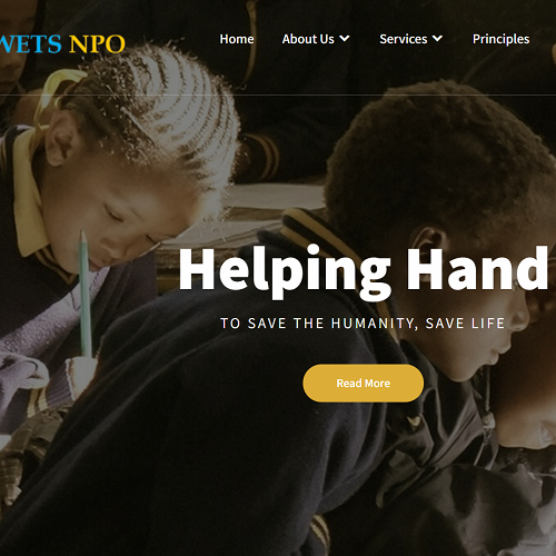 Website Design for SWETS Organisation - GFI Group